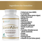 multivitamin for seniors supporting wellness