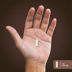 multivitamin for seniors to boost vitality