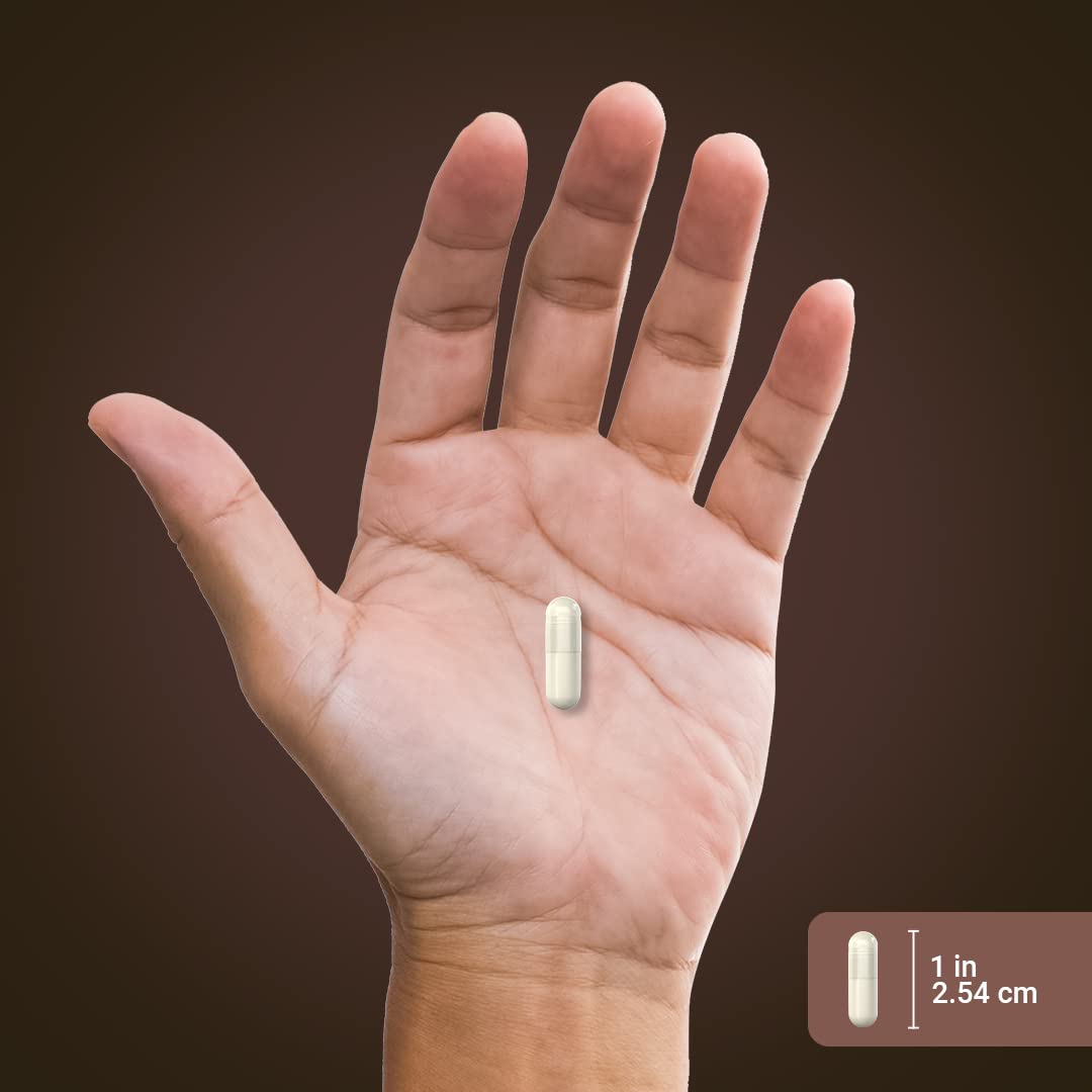multivitamin for seniors to boost vitality