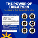 multivitamin for seniors to support wellness