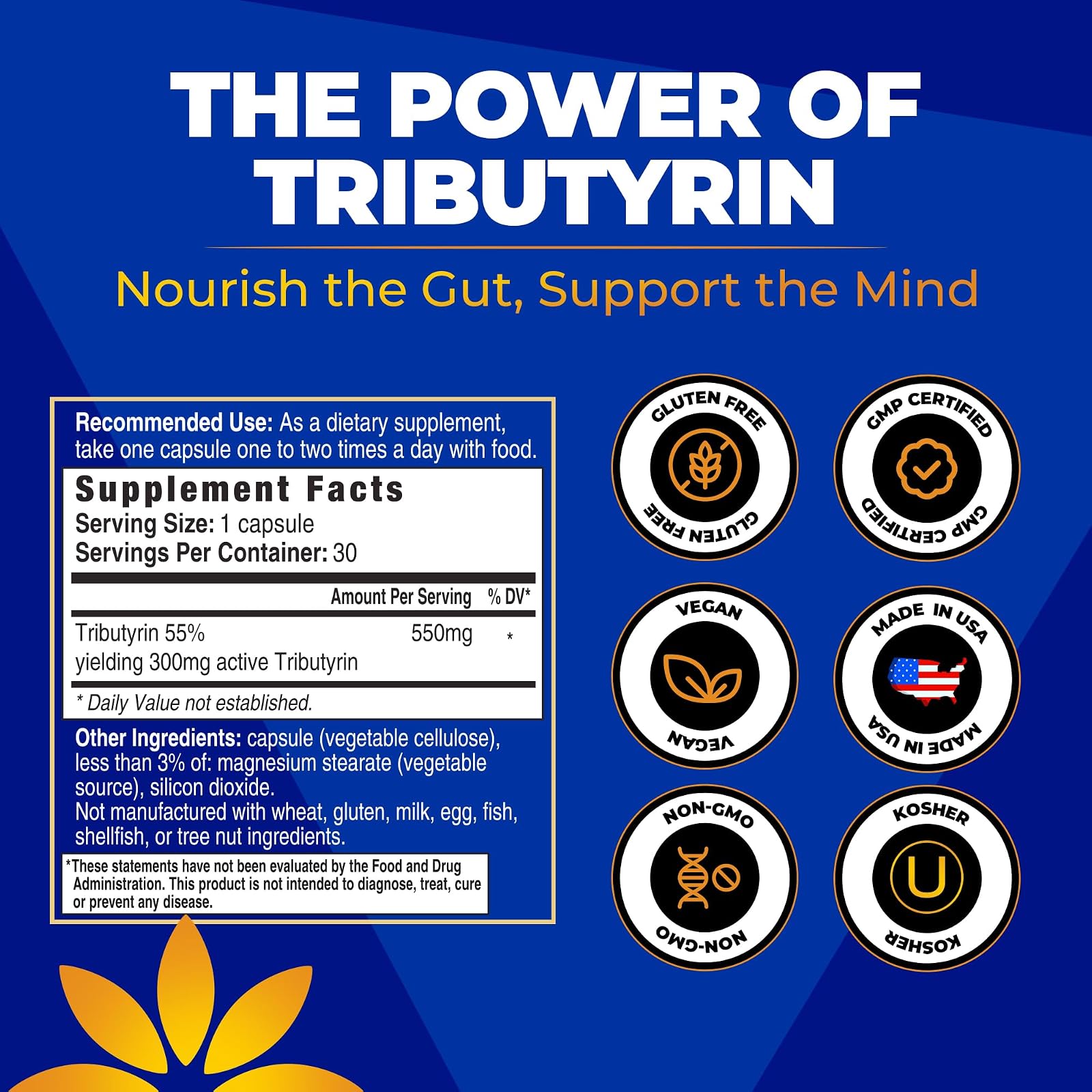 multivitamin for seniors to support wellness