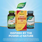 Multivitamin for seniors’ vitality boost