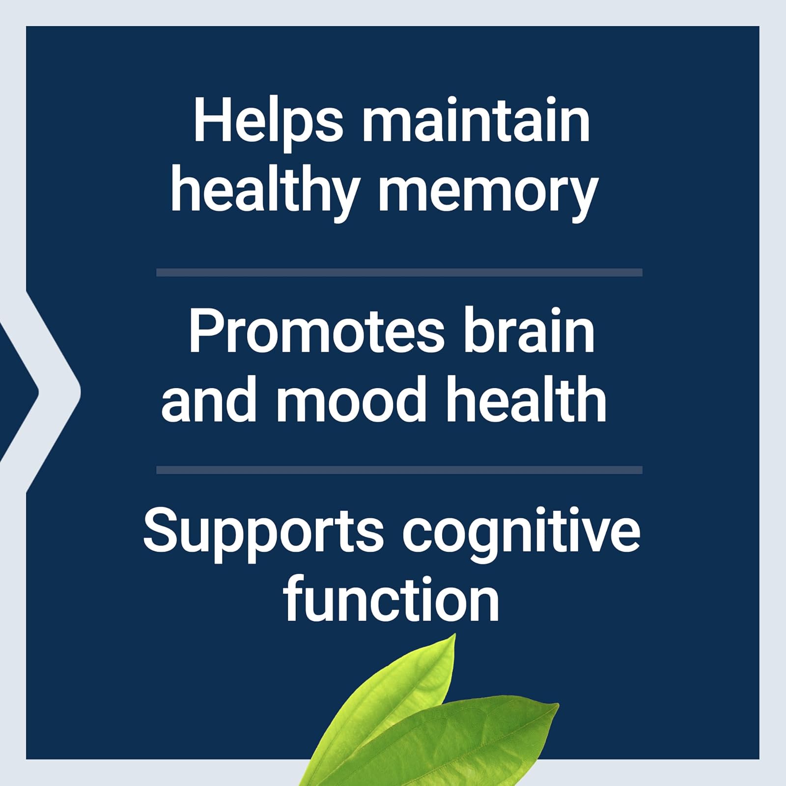 multivitamin for seniors' vitality