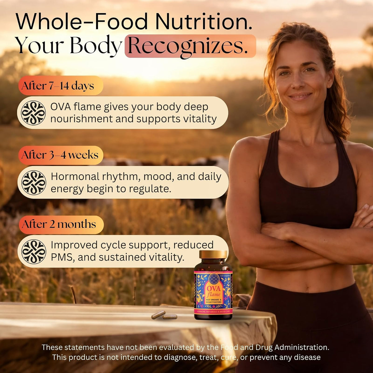 multivitamin for seniors' vitality