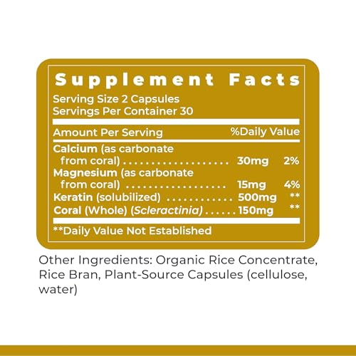 multivitamin for seniors’ vitality