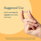 multivitamin for seniors weight loss
