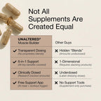multivitamin for seniors' wellness