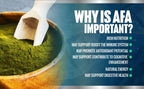 multivitamin for seniors wellness