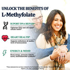 Multivitamin for seniors with 5-MTHF