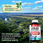 multivitamin for seniors with added benefits