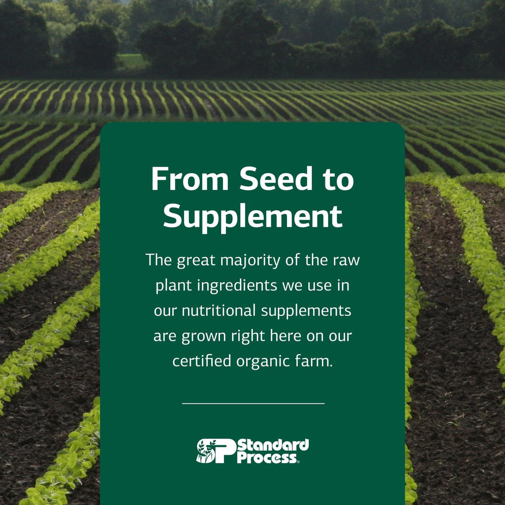 multivitamin for seniors with added benefits