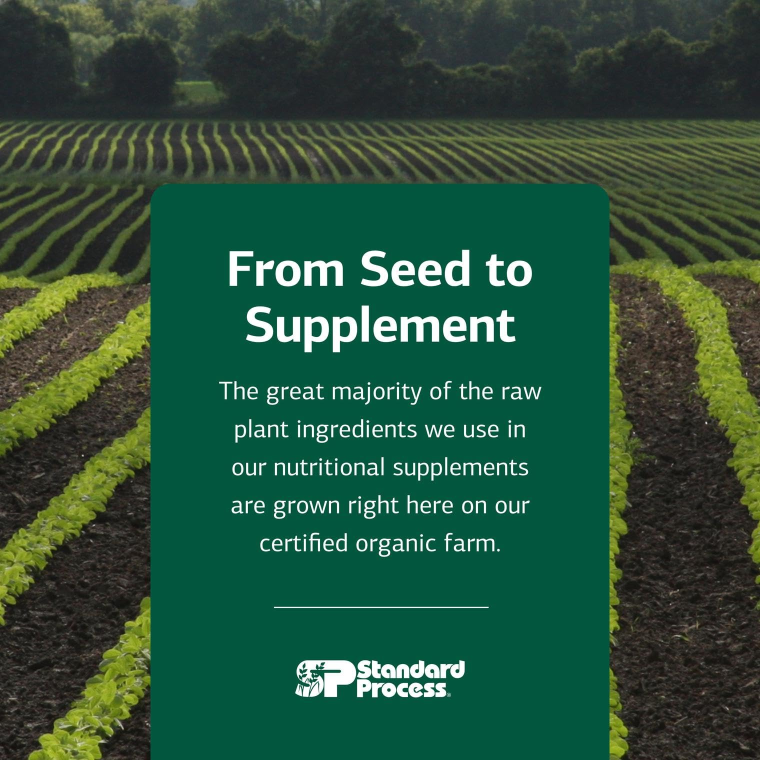 multivitamin for seniors with added benefits