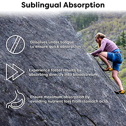 multivitamin for seniors with added support
