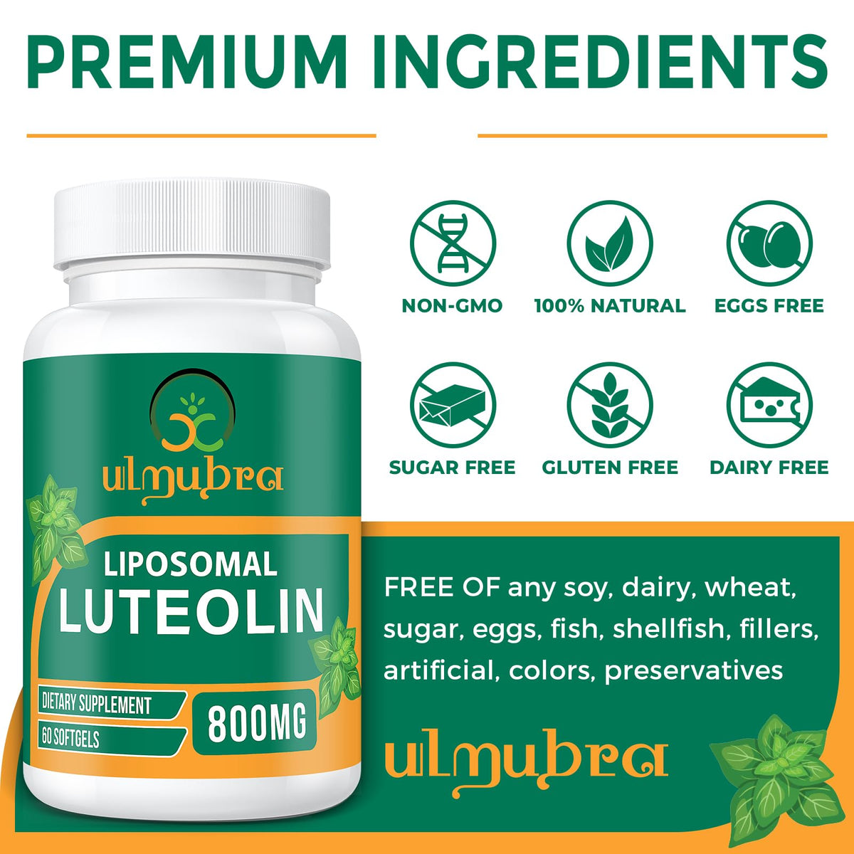 multivitamin for seniors with added support