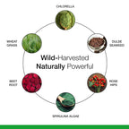 multivitamin for seniors with antioxidants
