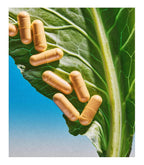 Multivitamin for seniors with antioxidants