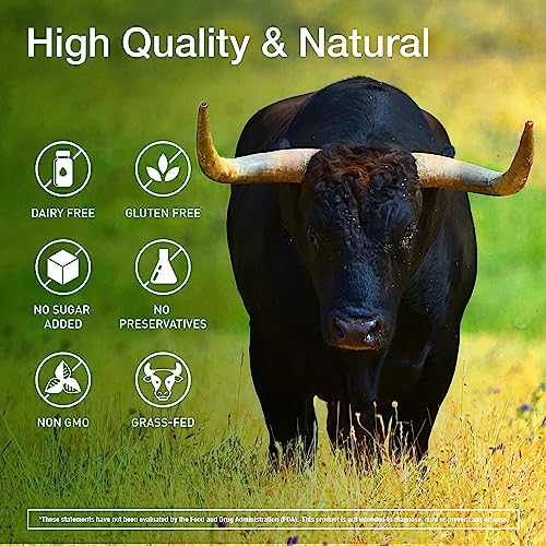 multivitamin for seniors with beef organ
