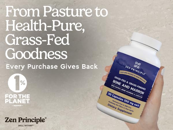 multivitamin for seniors with bone support