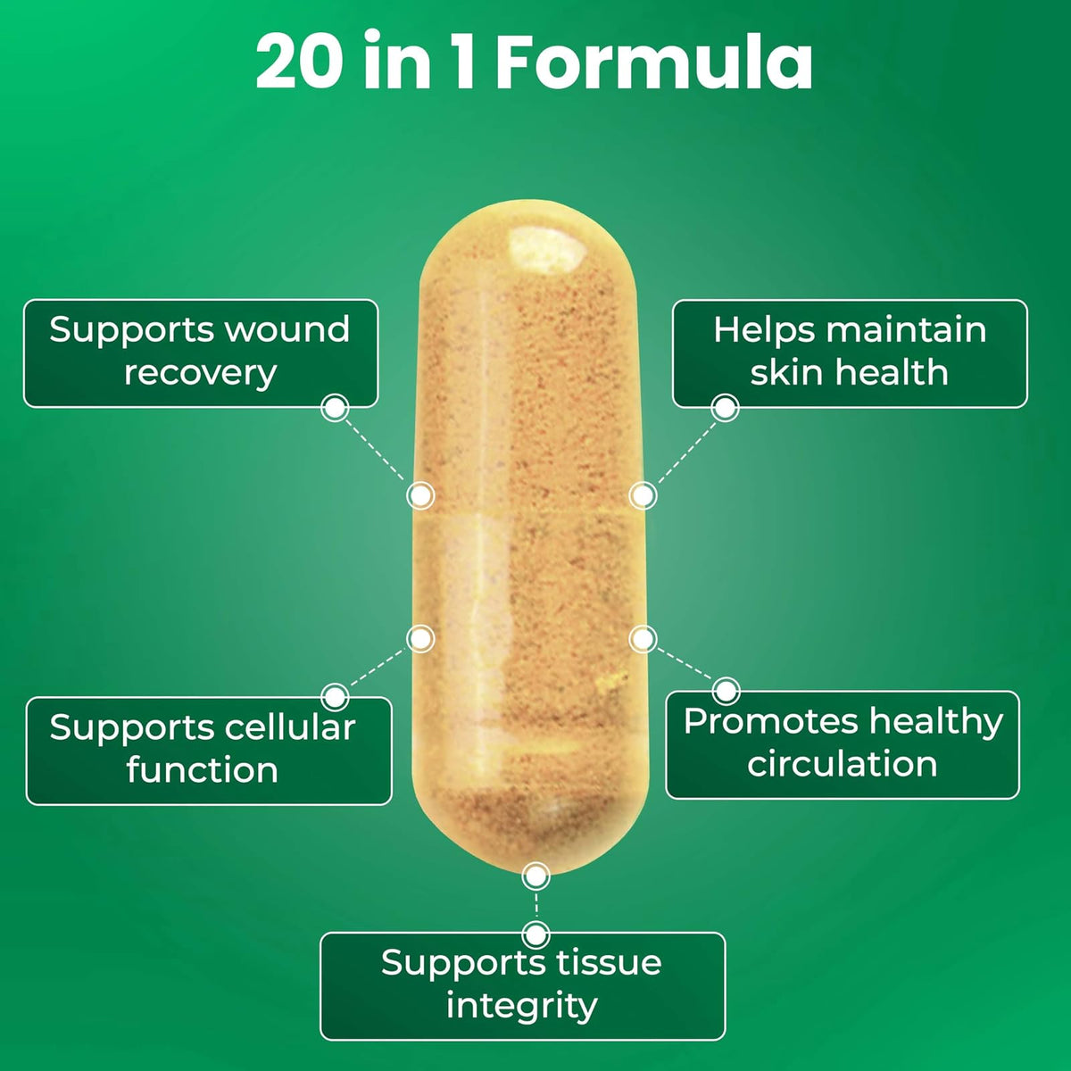 multivitamin for seniors with bone support