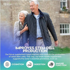 Multivitamin for seniors with brain support
