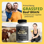 multivitamin for seniors with brain support