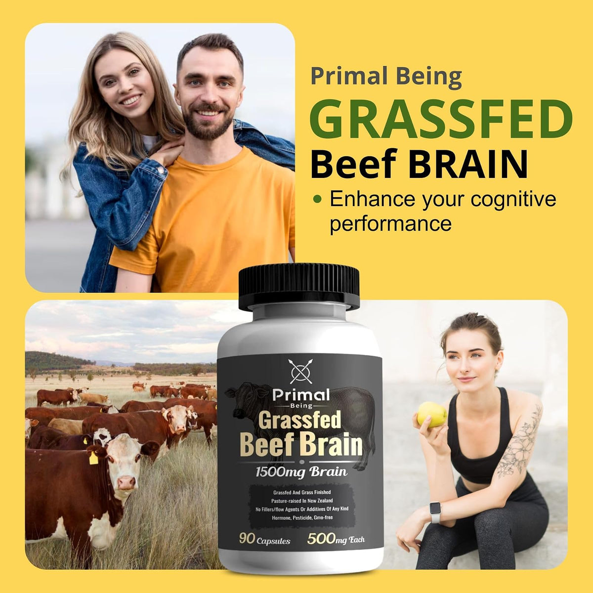 multivitamin for seniors with brain support