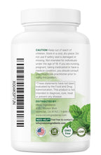 multivitamin for seniors with chlorophyll benefits