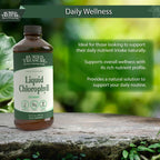 multivitamin for seniors with chlorophyll