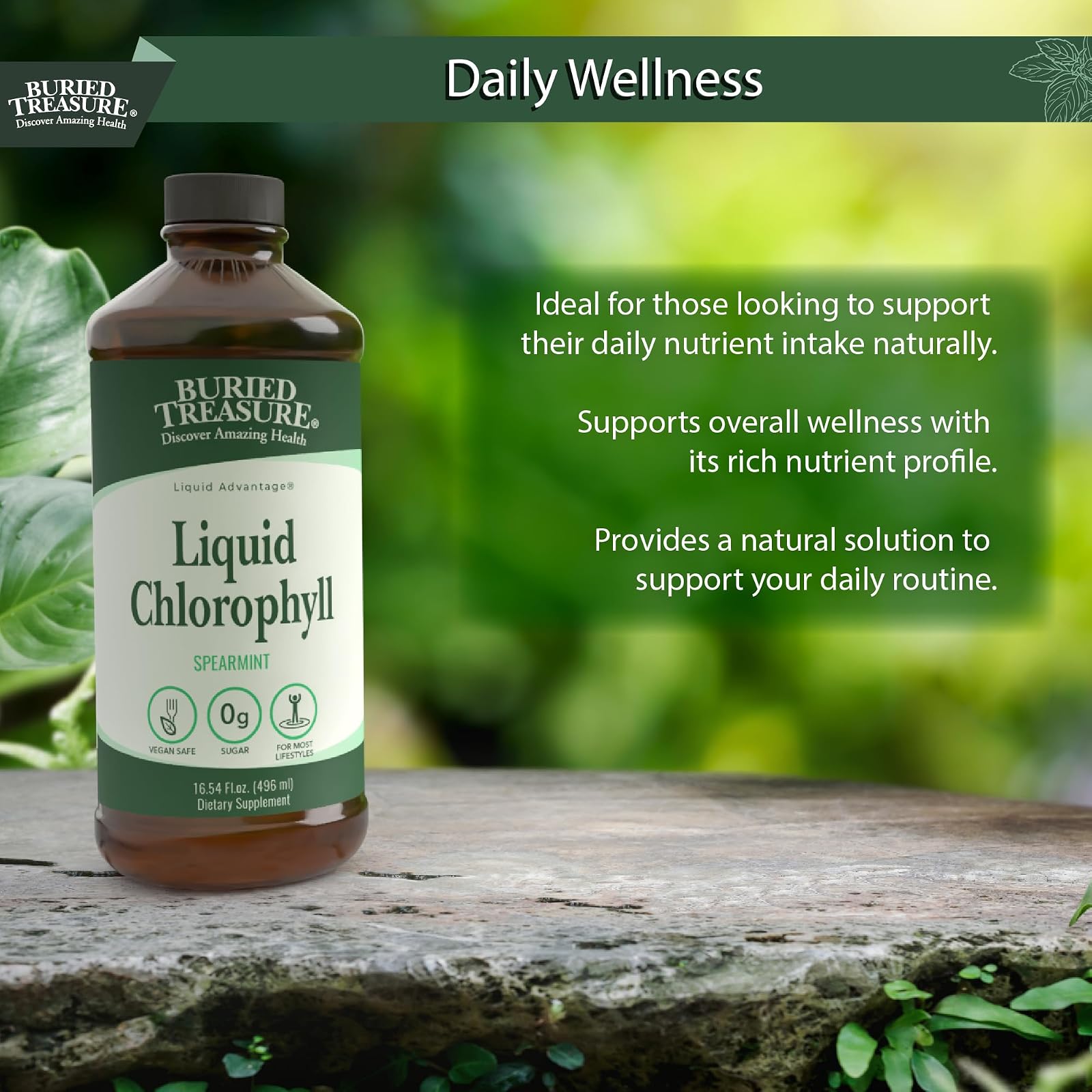 multivitamin for seniors with chlorophyll