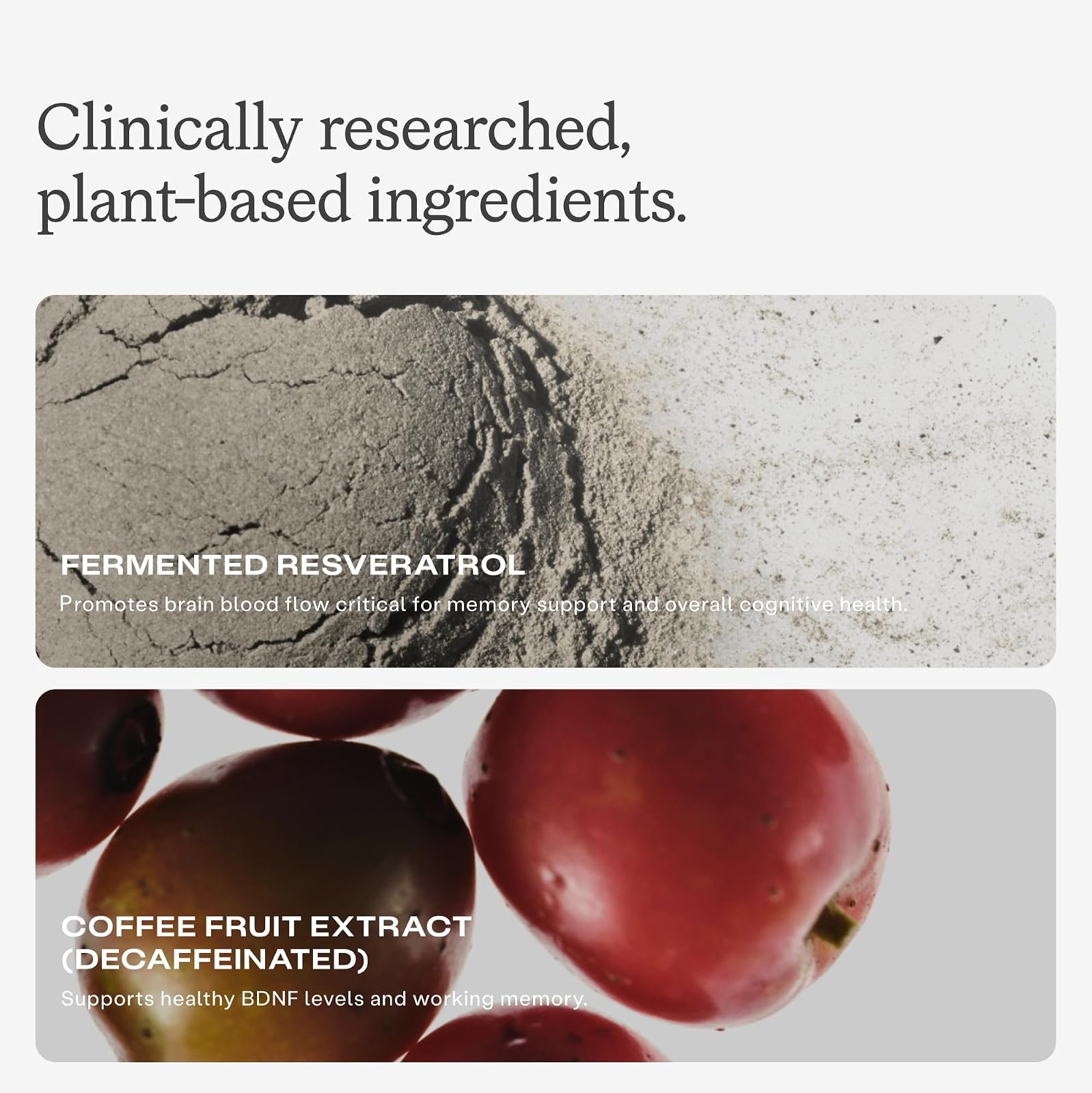 multivitamin for seniors with cognitive benefits