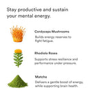 multivitamin for seniors with cognitive benefits