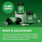 multivitamin for seniors with colostrum