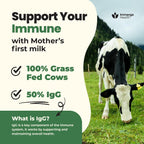 multivitamin for seniors with colostrum