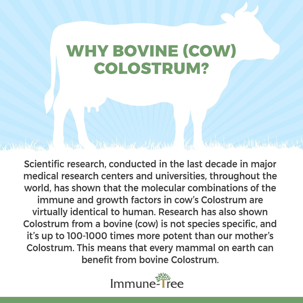multivitamin for seniors with colostrum