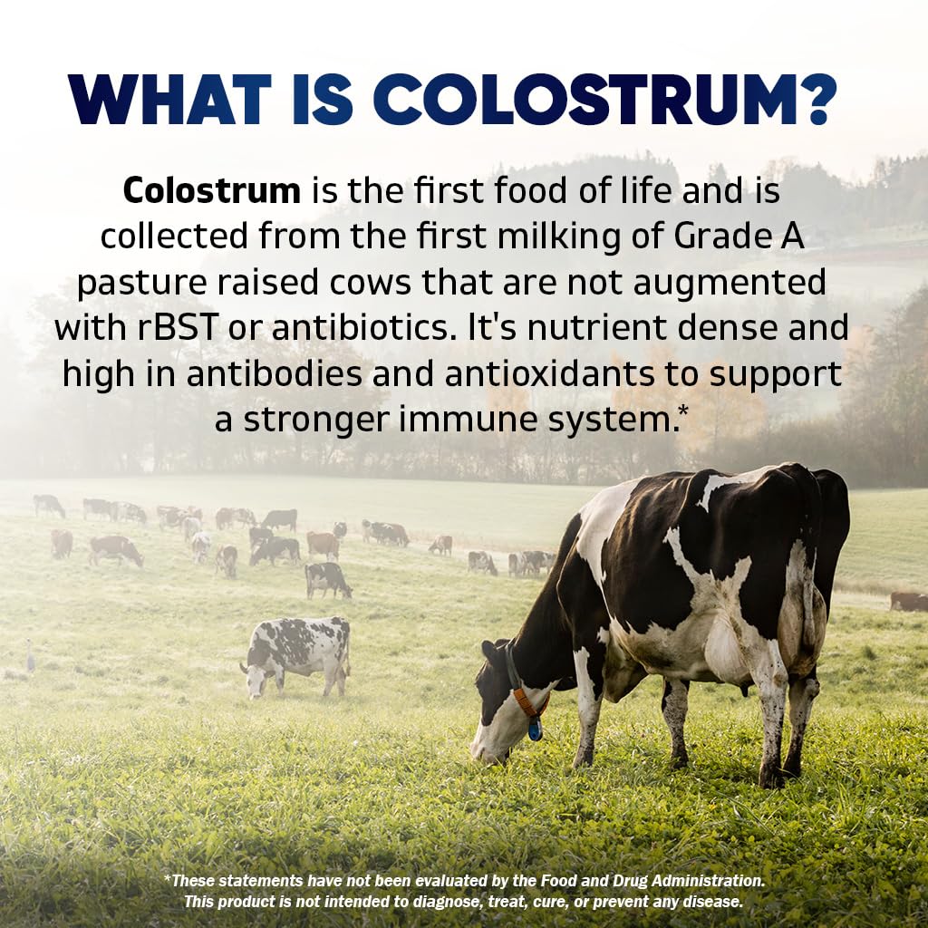 multivitamin for seniors with colostrum