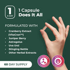 multivitamin for seniors with detox properties