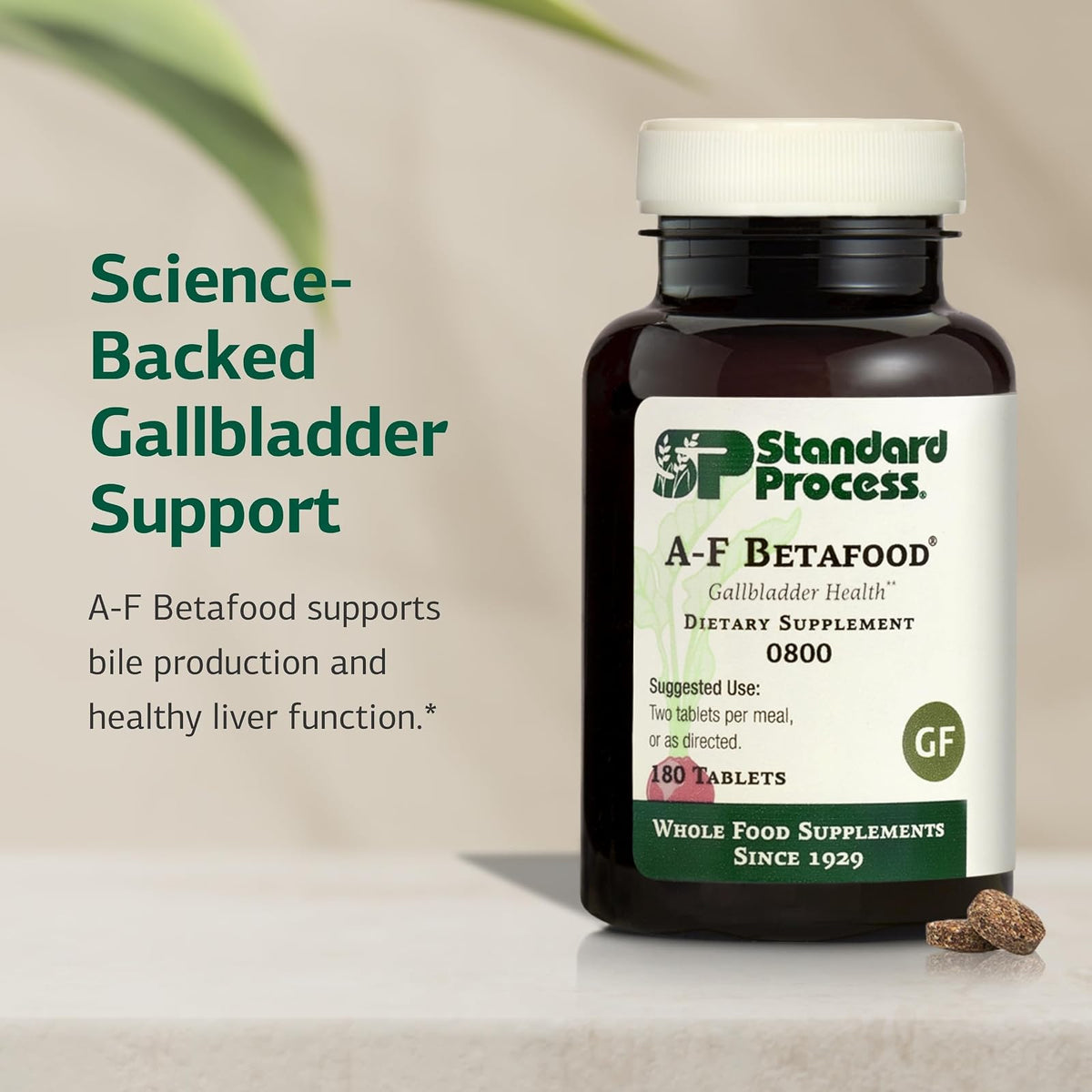 multivitamin for seniors with digestive benefits