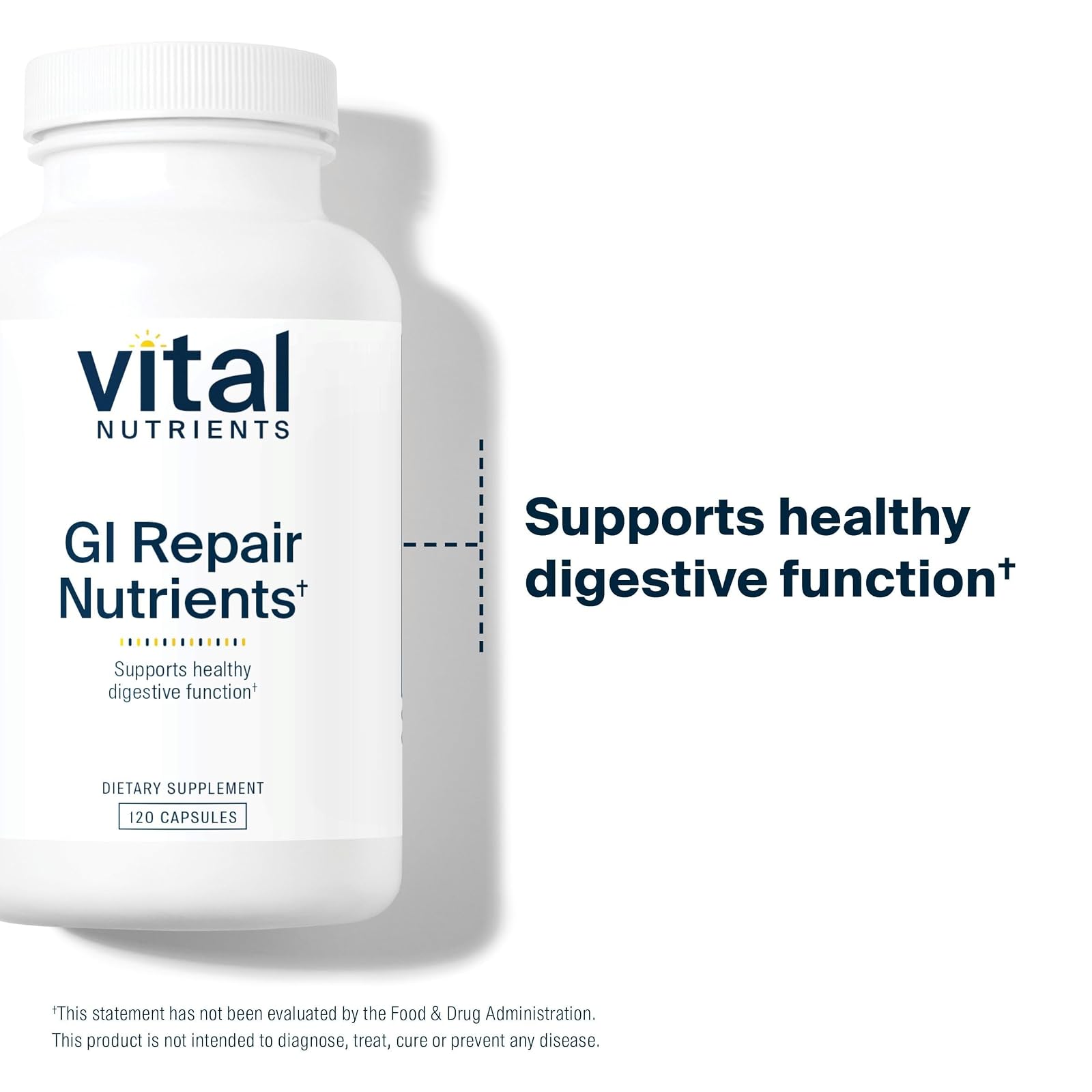 multivitamin for seniors with digestive support
