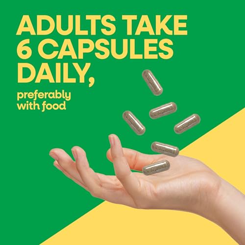 multivitamin for seniors with energy