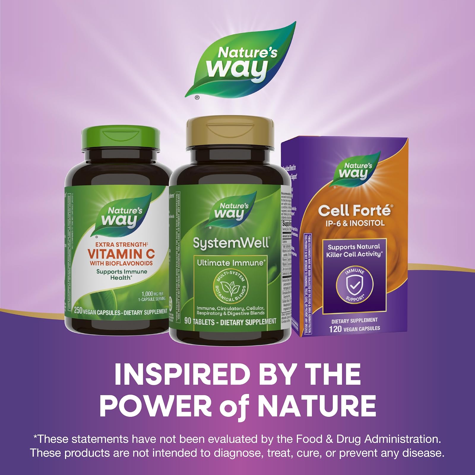 multivitamin for seniors with essential nutrients