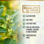 multivitamin for seniors with essential nutrients