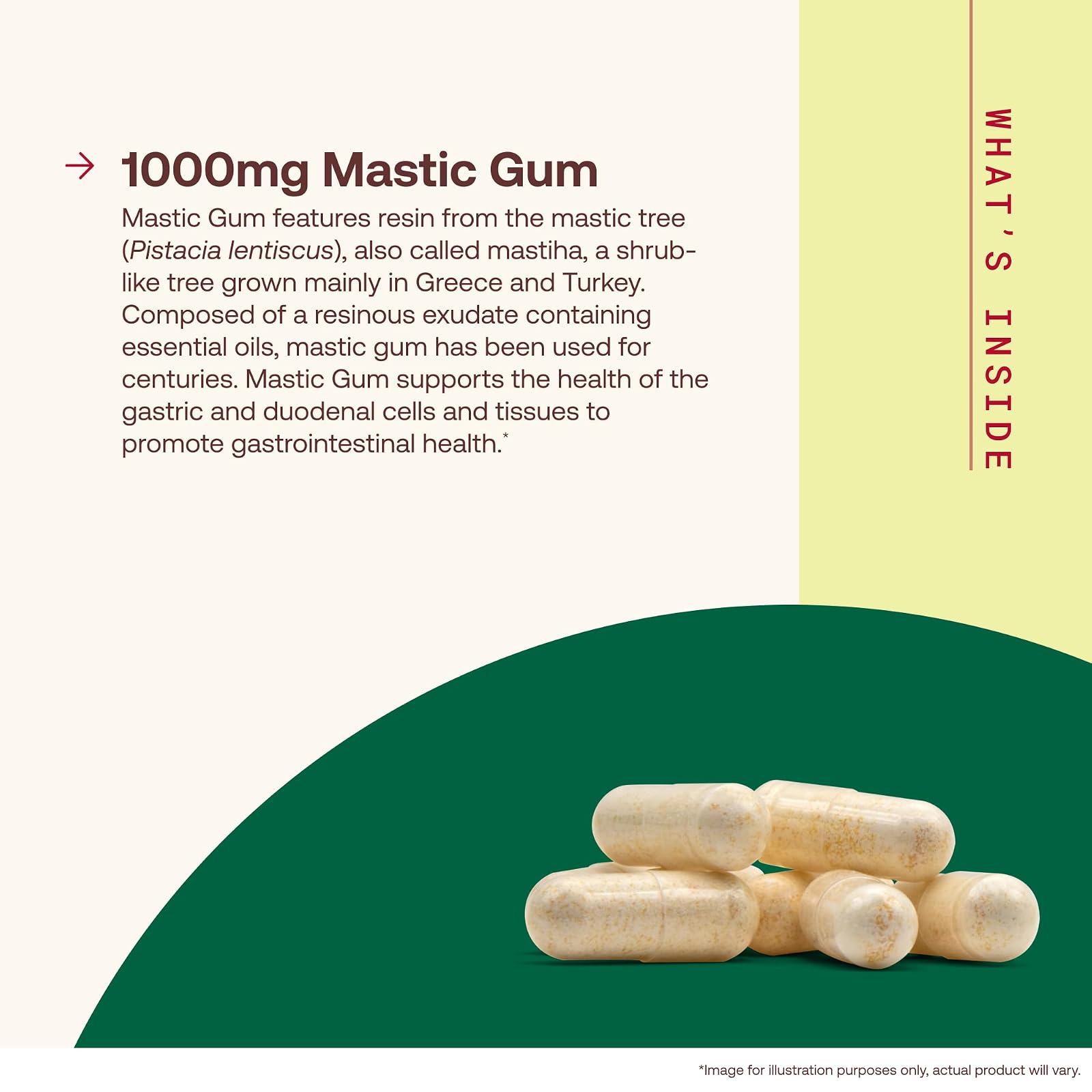 multivitamin for seniors with essential nutrients