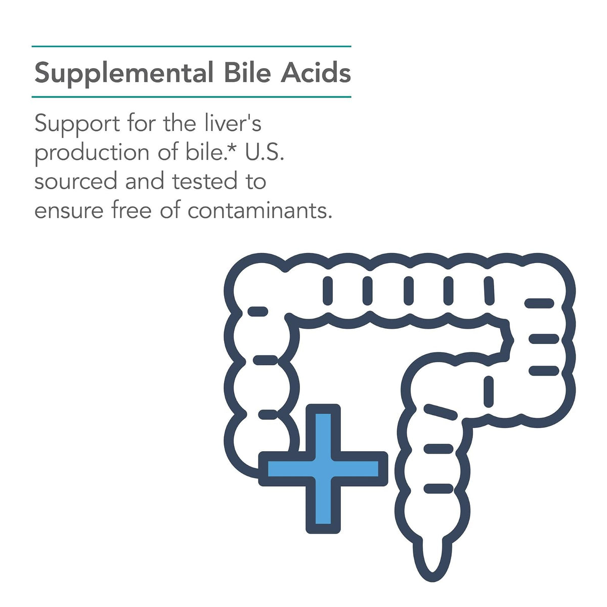 multivitamin for seniors with essential nutrients