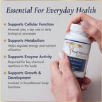 multivitamin for seniors with essential nutrients