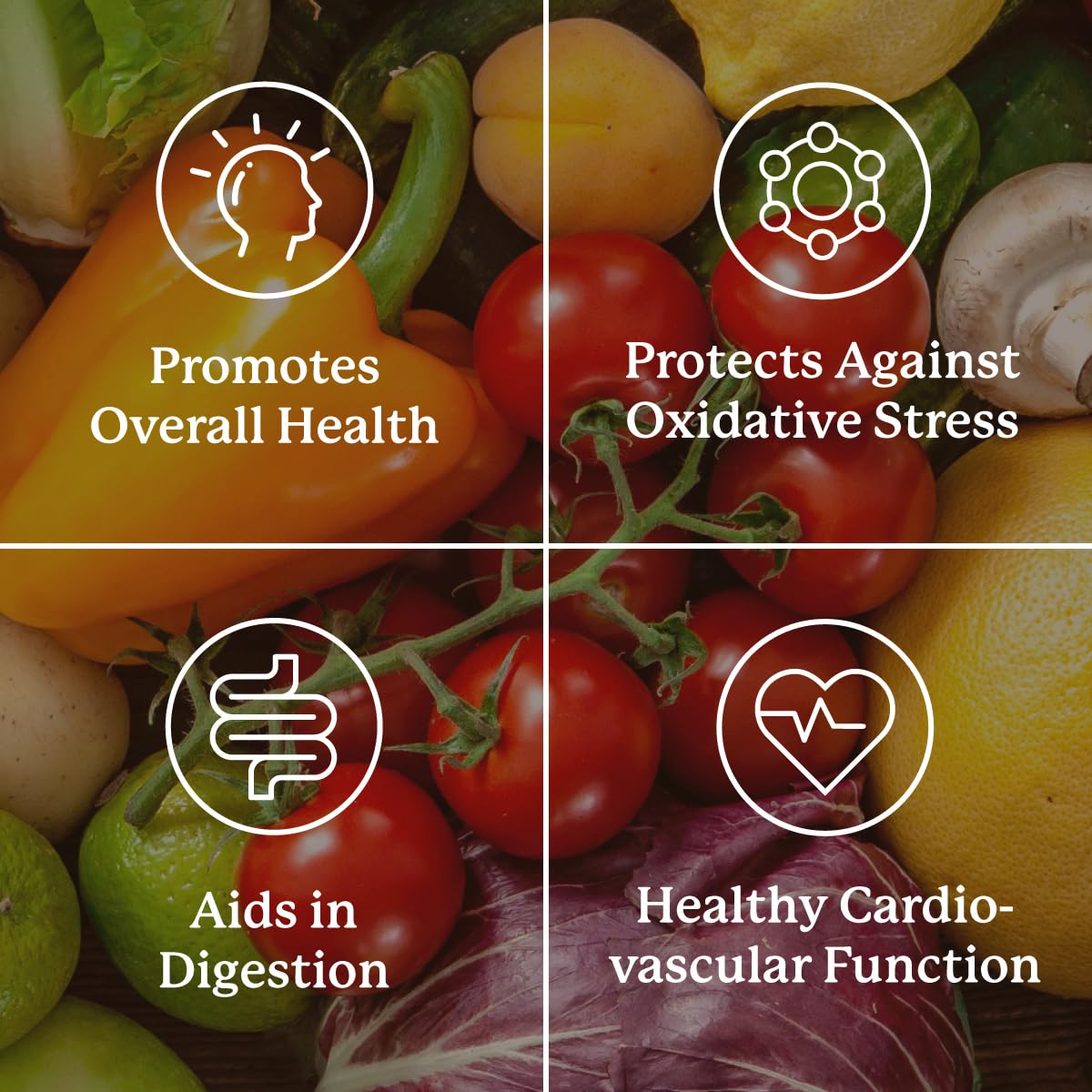 multivitamin for seniors with essential nutrients