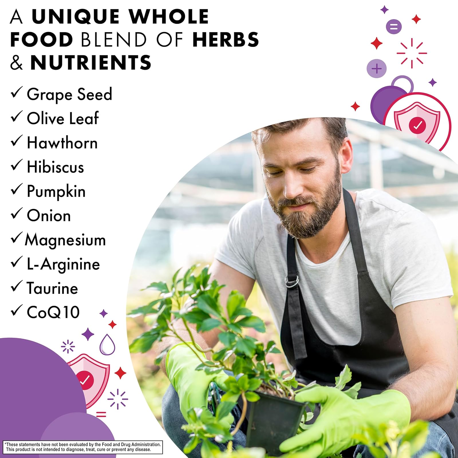 multivitamin for seniors with essential nutrients