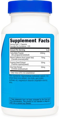 multivitamin for seniors with essential nutrients