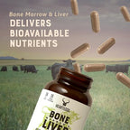 Multivitamin for seniors with essential nutrients