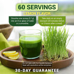 multivitamin for seniors with essential nutrients