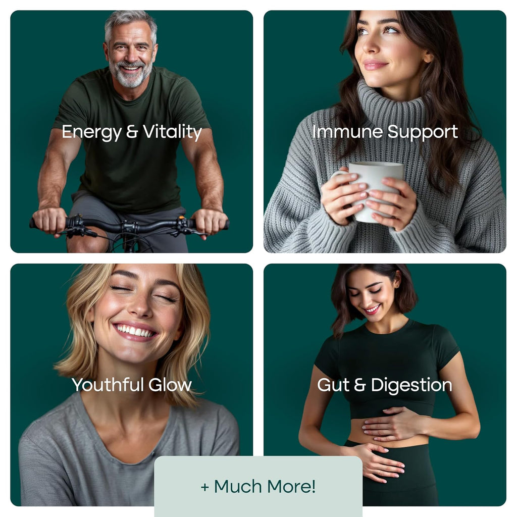 multivitamin for seniors with essential nutrients